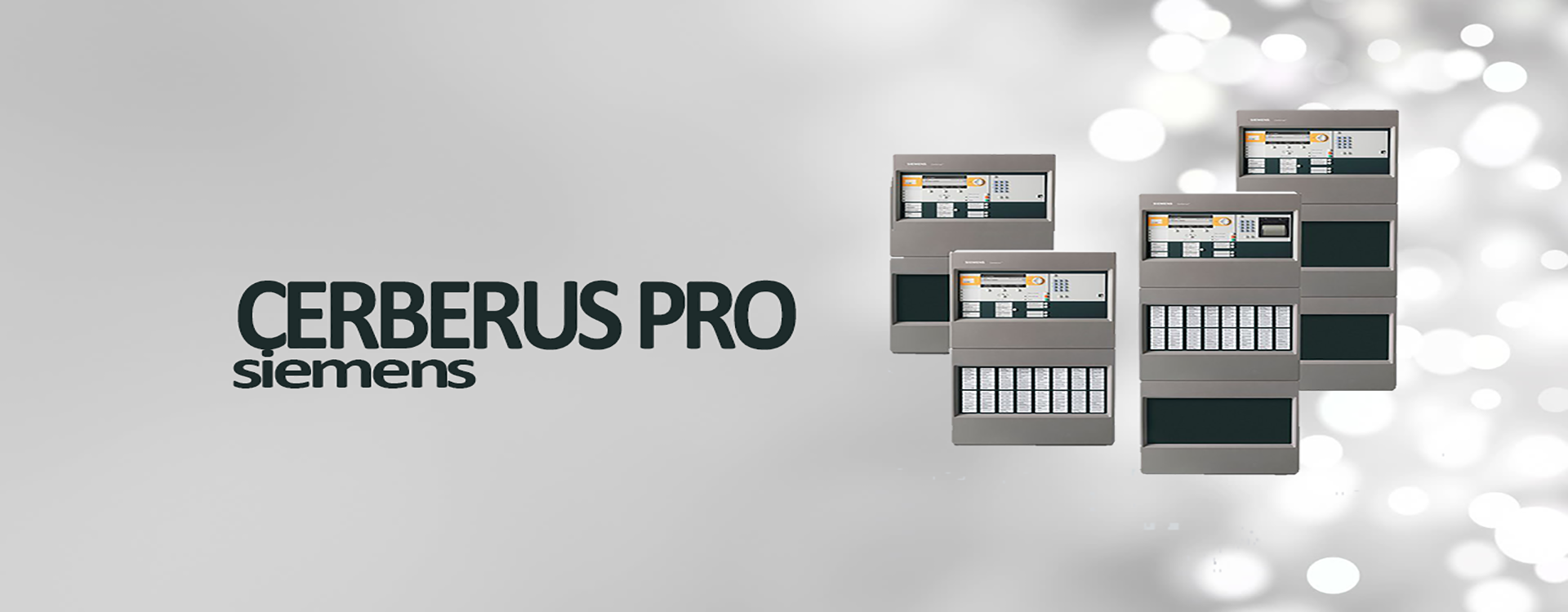 Proteam Security System